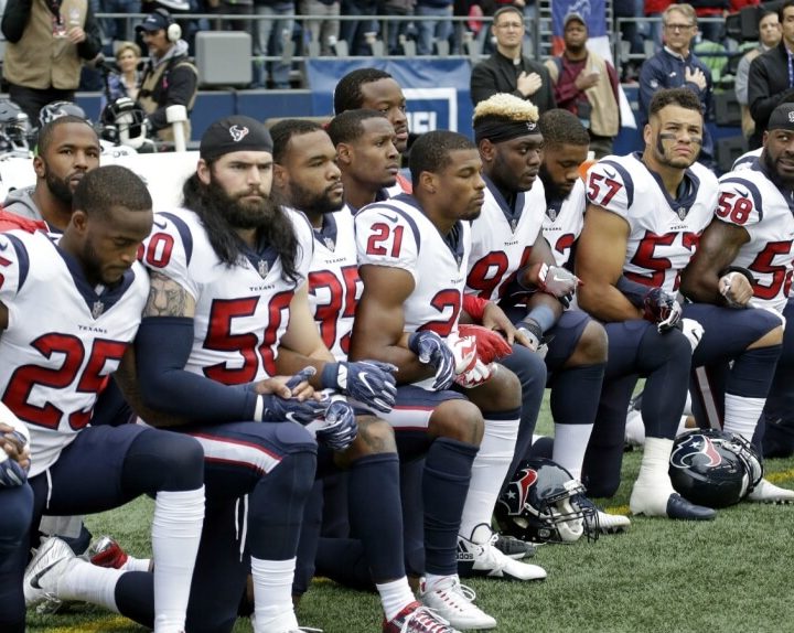 Represent the Iconic Houston Texans Logo and Colors in a Soft, High ...