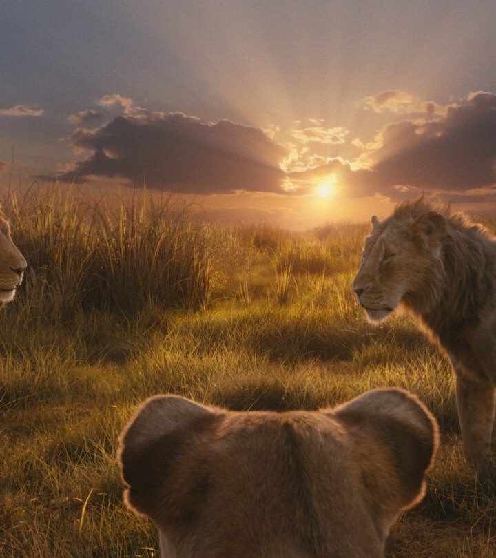 Mufasa: The Lion King Prequel—A Visually Stunning but Emotionally ...