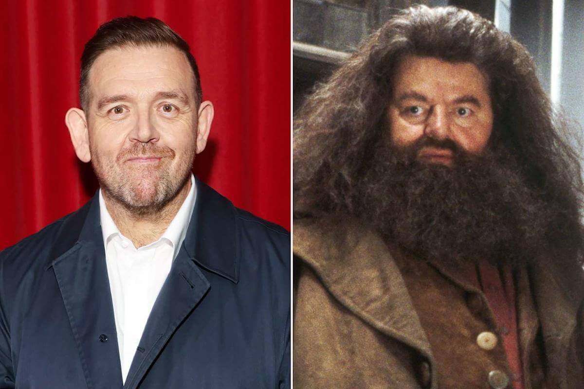 The Future of Hagrid in the Harry Potter TV Series: Nick Frost, Robbie ...